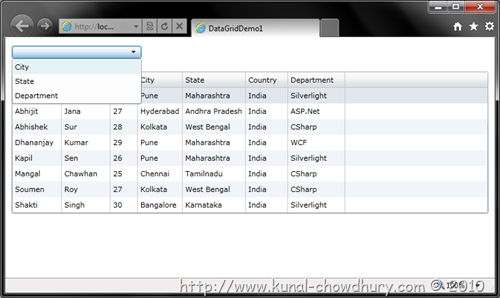 Grouping Records in Silverlight DataGrid using PagedCollectionView